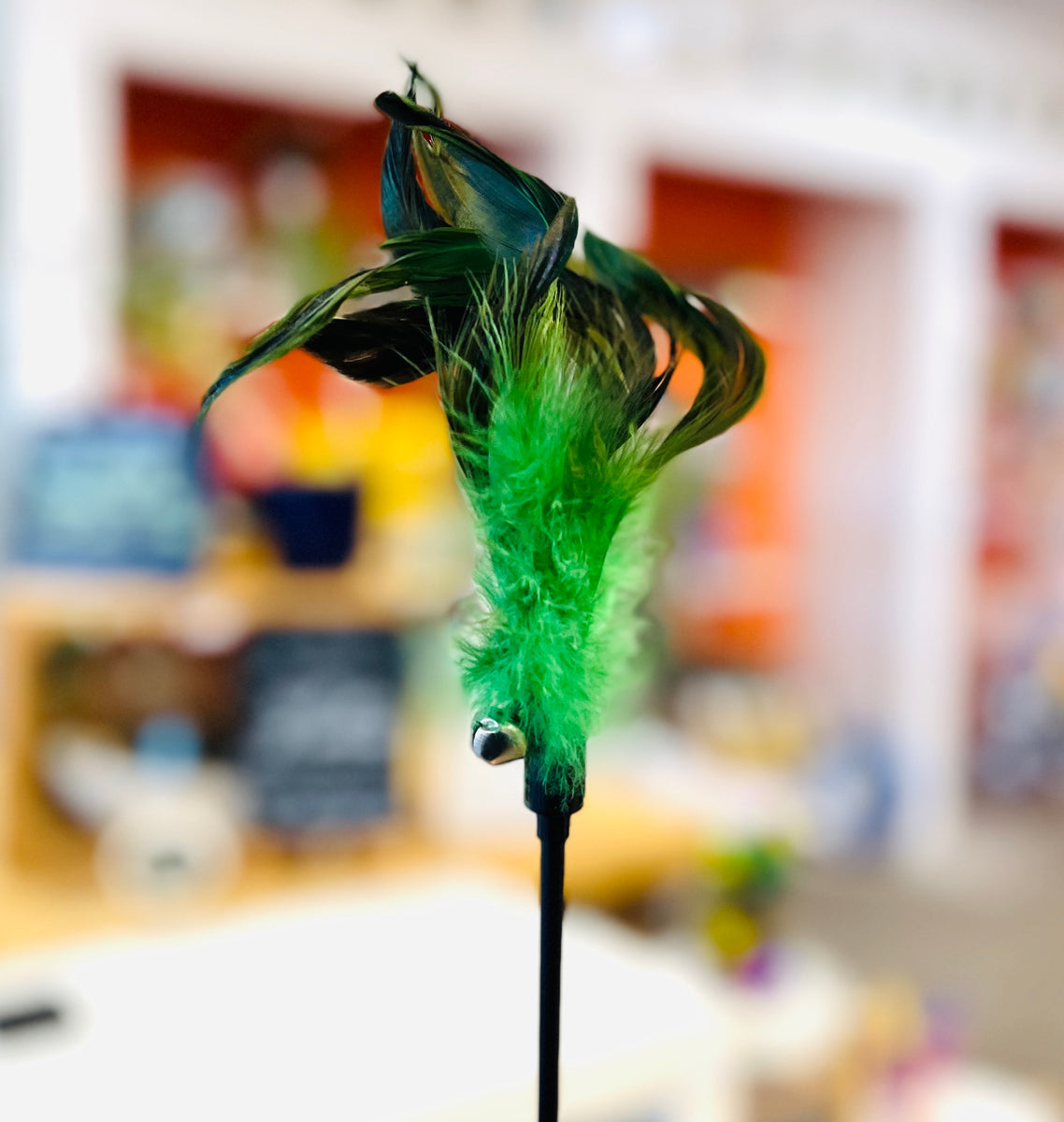 feathergreen_1200x1200.jpg?v=1706832307