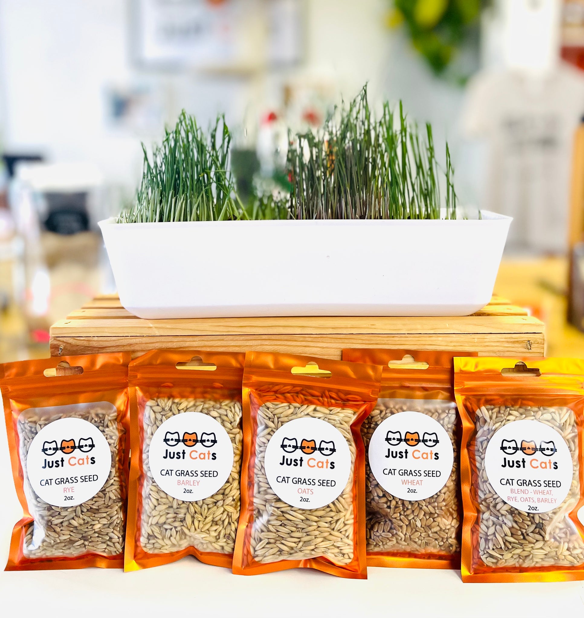 Grass Seed Out Of Stock - THE CAT LADIES Organic Pet , 8-oz Bag Wheat ...